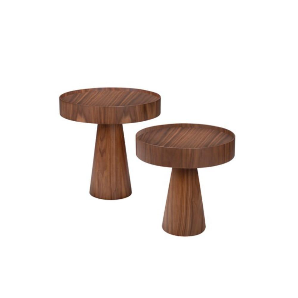 RS Collection - Roberta Schilling